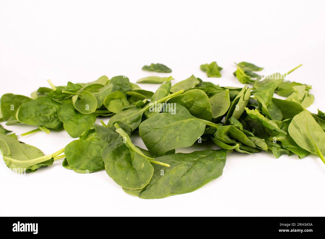 Closeup of baby spinach hi-res stock photography and images - Alamy