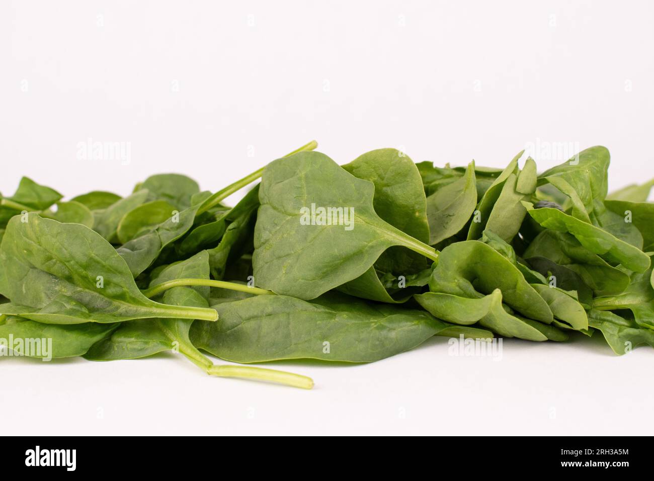 Pile of fresh baby spinach Stock Photo - Alamy