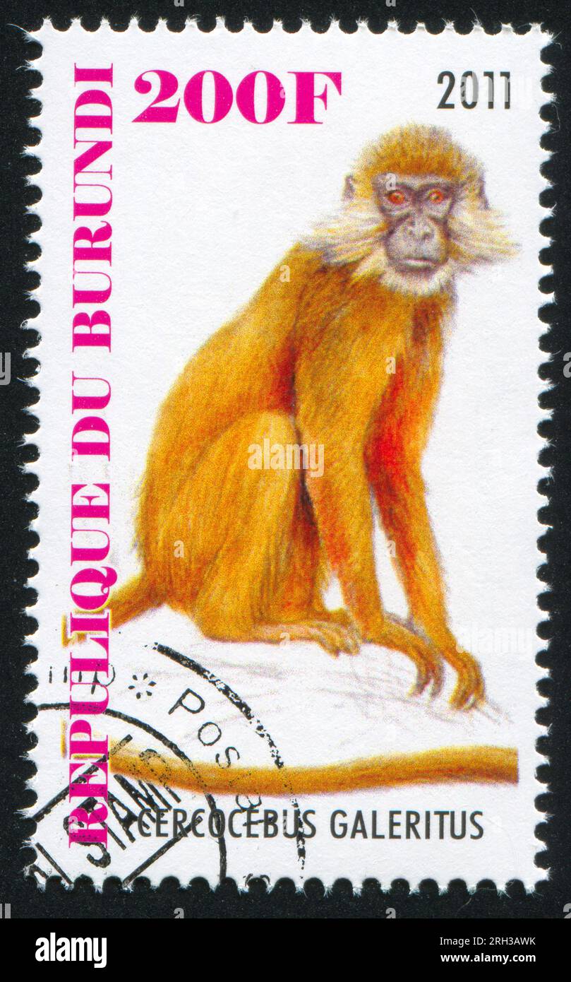 Monkey nose finger hi-res stock photography and images - Alamy