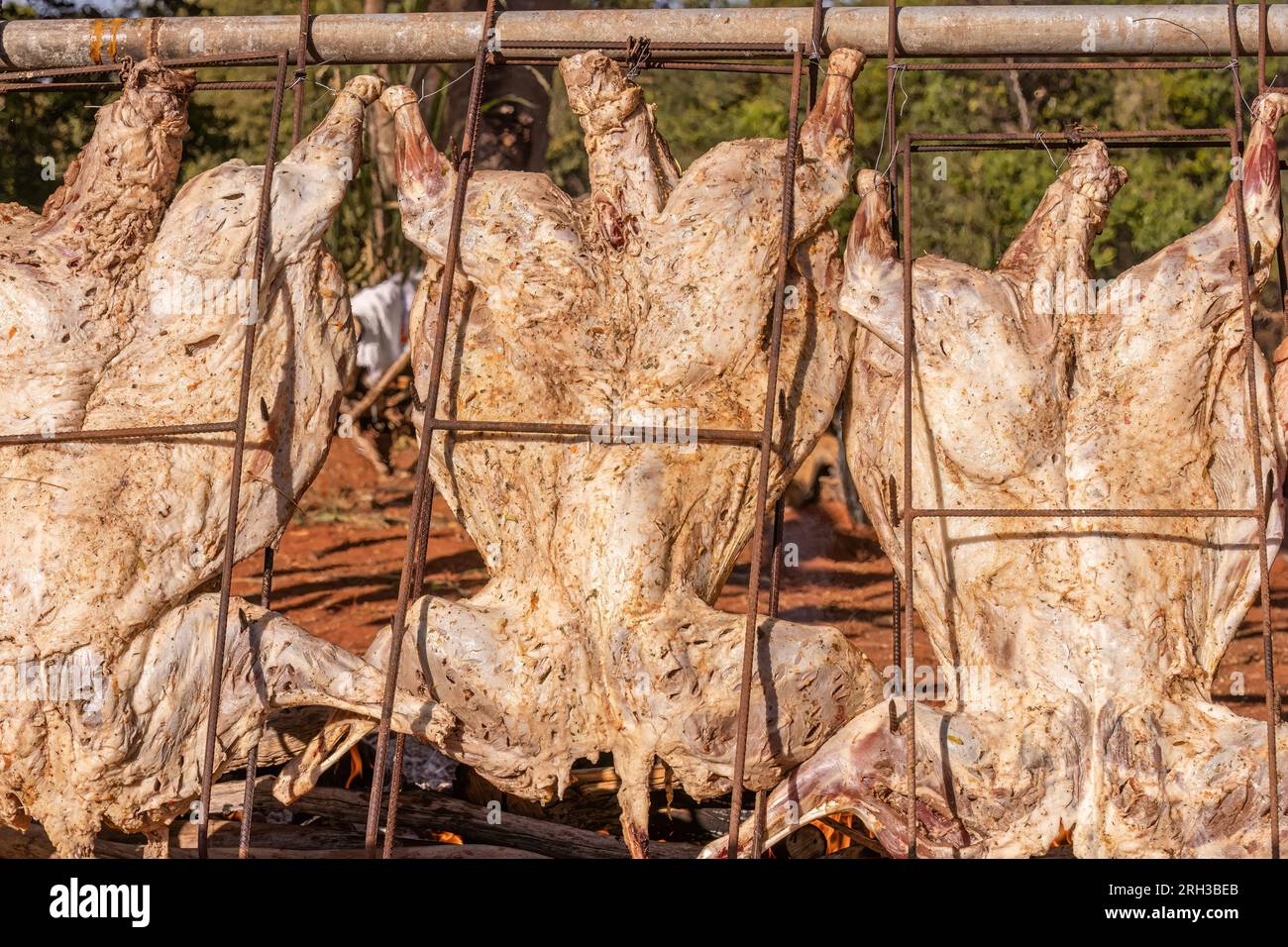 Pigs roasting hi-res stock photography and images - Alamy