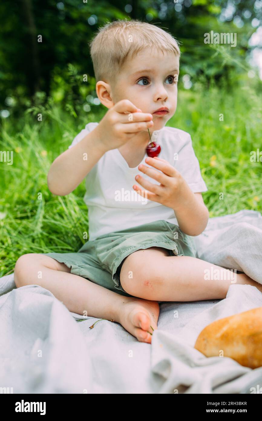 Boy child preschooler on a picnic. Smiles, eating cherries and enjoying ...