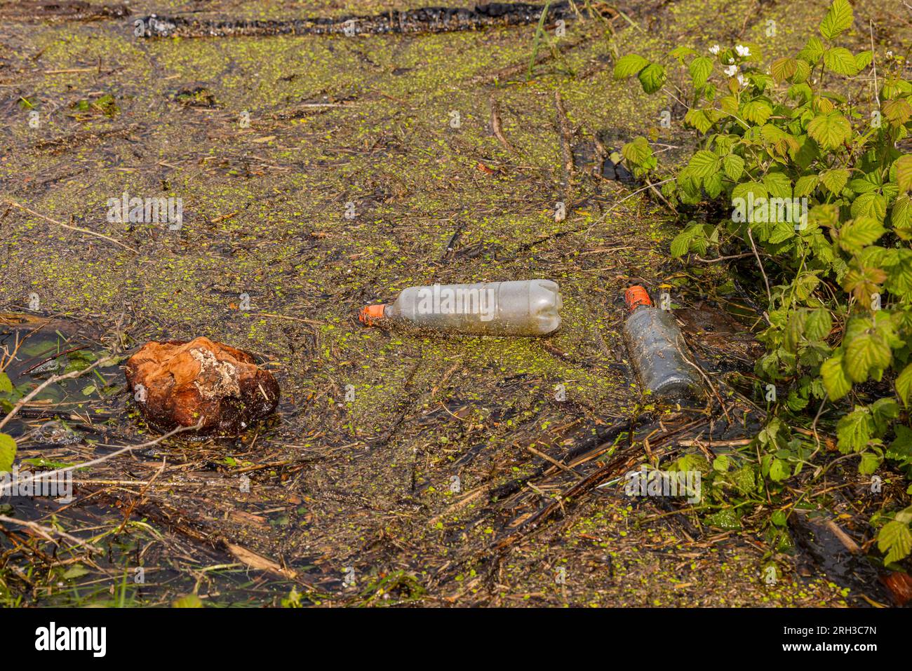 Throwing plastic water (shore) hi-res stock photography and images - Alamy