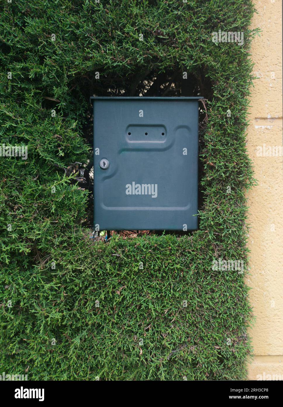 Exterior mailbox embedded by a thick hedge. Domestic garden concept ...