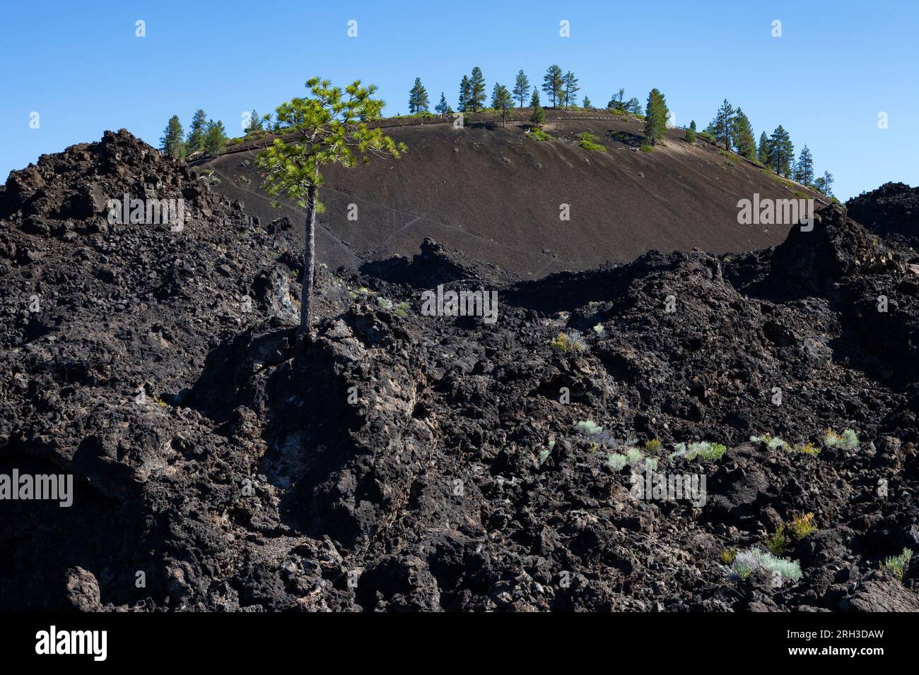 The cinder cone of Lava Butte rises above the lava field at Newberry ...