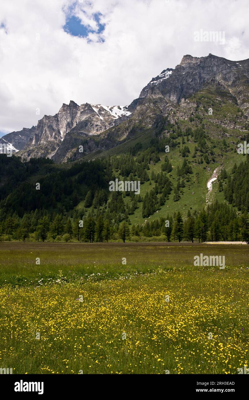 Alpe devero italian alps hi-res stock photography and images - Alamy