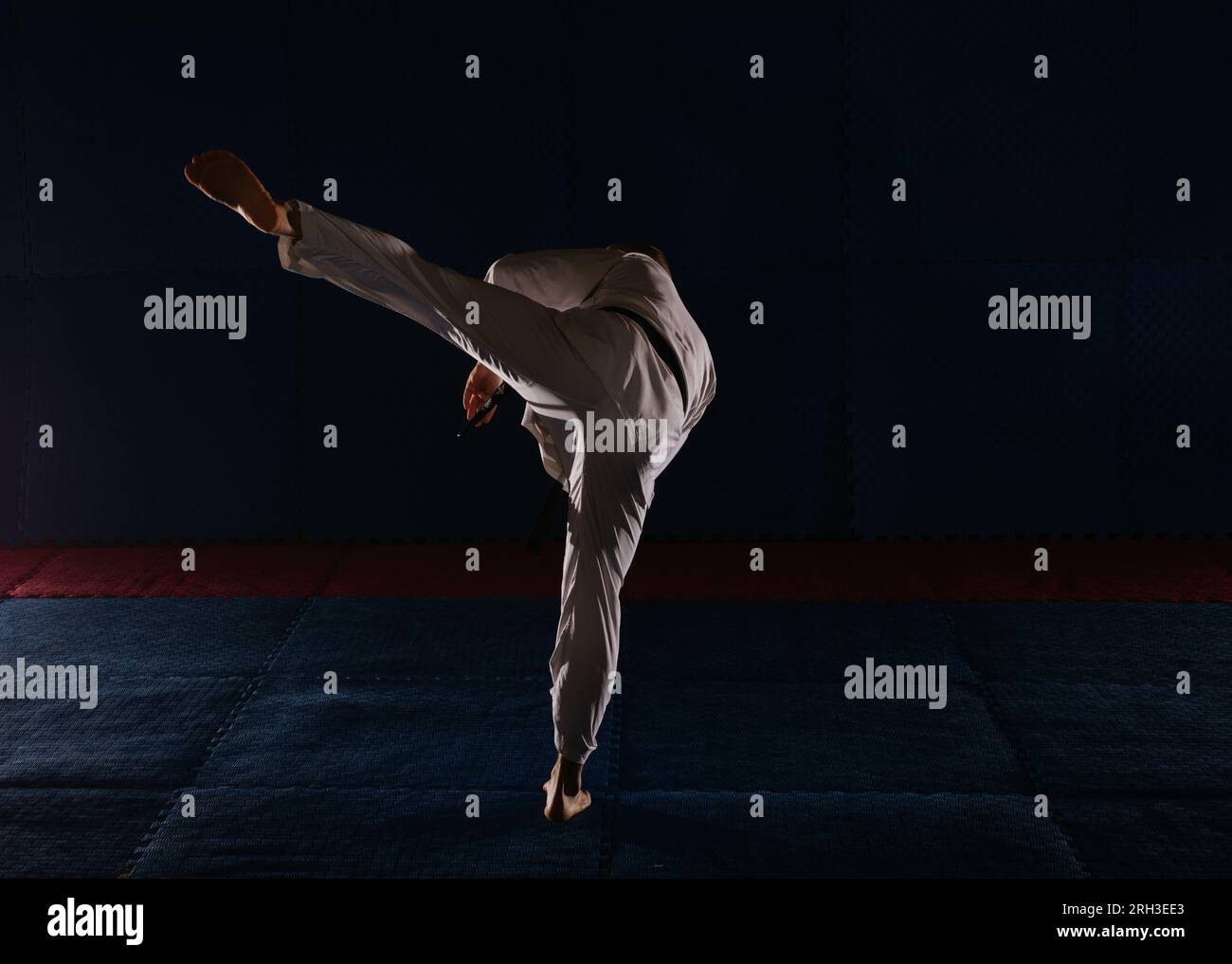 Silhouette of a karatist with black belt doing the Ushiro Geri at the ...