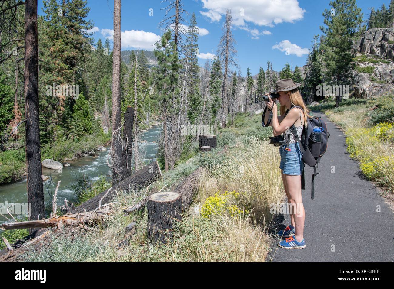 A young female birder looking through binoculars on a hiking trail in ...