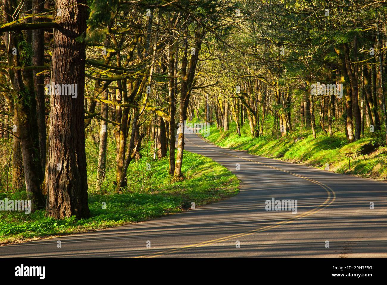 The historic Columbia River Highway (US 26) east of Portland, Oregon ...