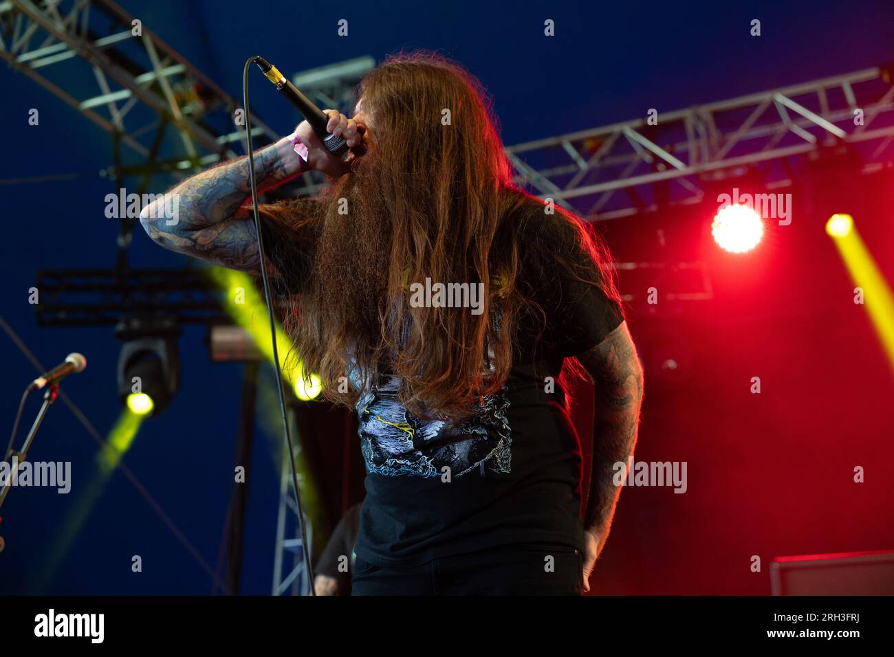 Casket feeder hi-res stock photography and images - Alamy