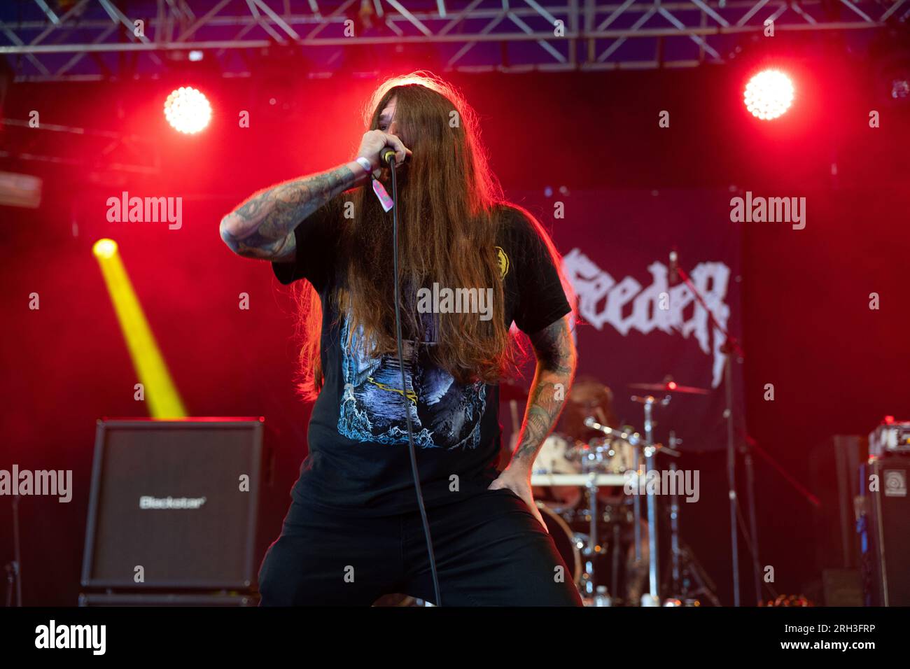 Casket feeder hi-res stock photography and images - Alamy