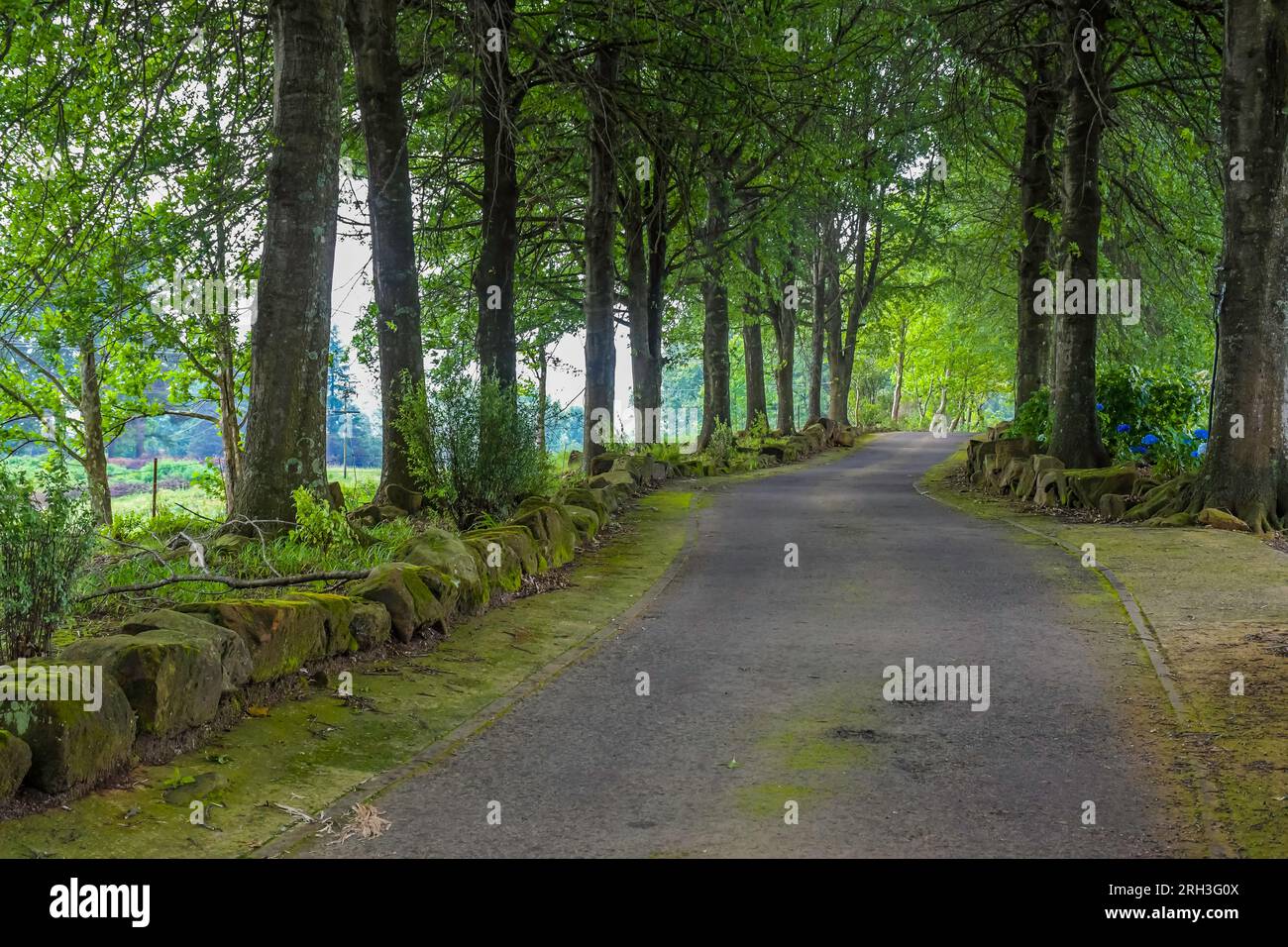 Midlands meander landscape in Kwazulu natal kzn south africa Stock ...