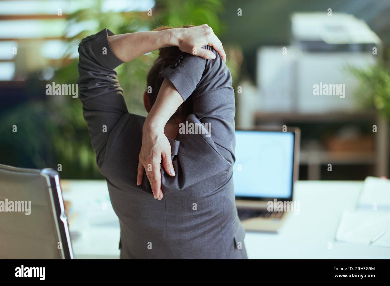 Sustainable workplace. Seen from behind modern small business owner ...