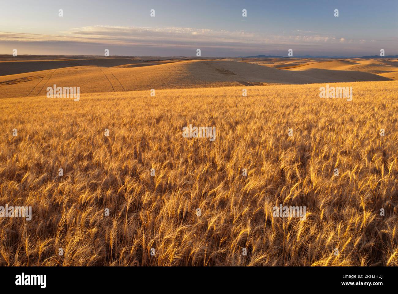 Rolling fields and distant hills hi-res stock photography and images ...