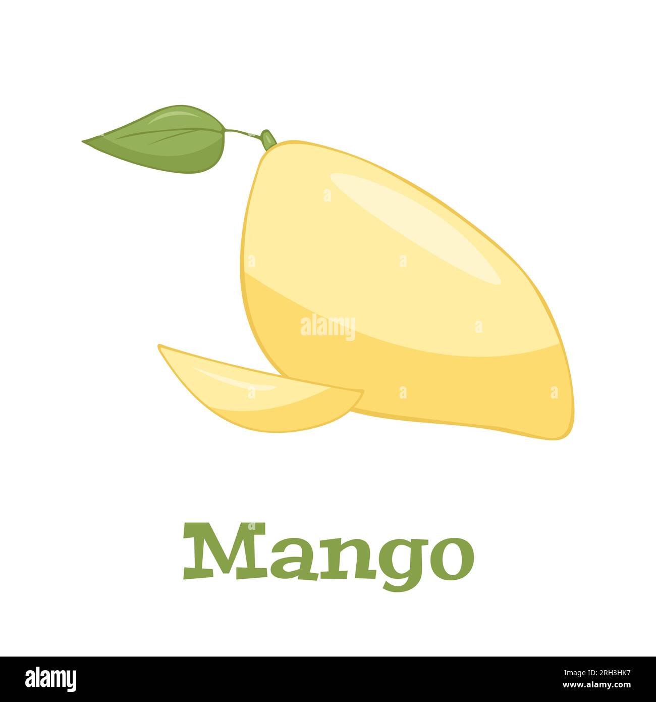 Mango fruit vector illustration isolated on a white backround Stock ...