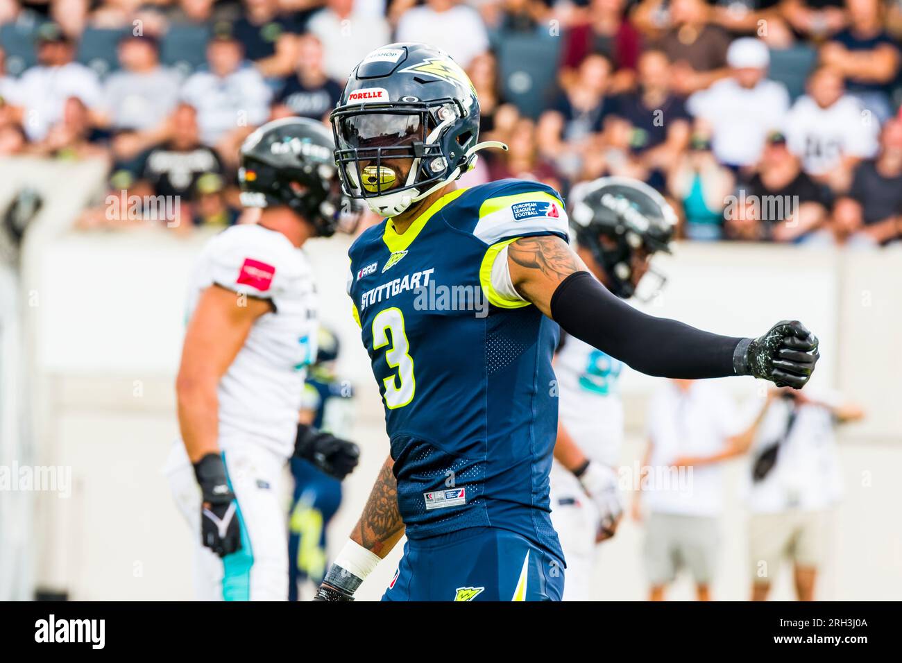 Munich ravens hi-res stock photography and images - Alamy