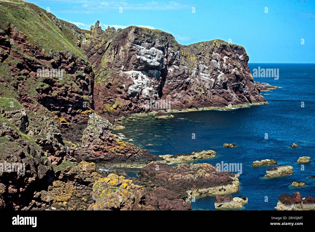 View across Starney Bay to the headland called White Heugh at St Abbs ...