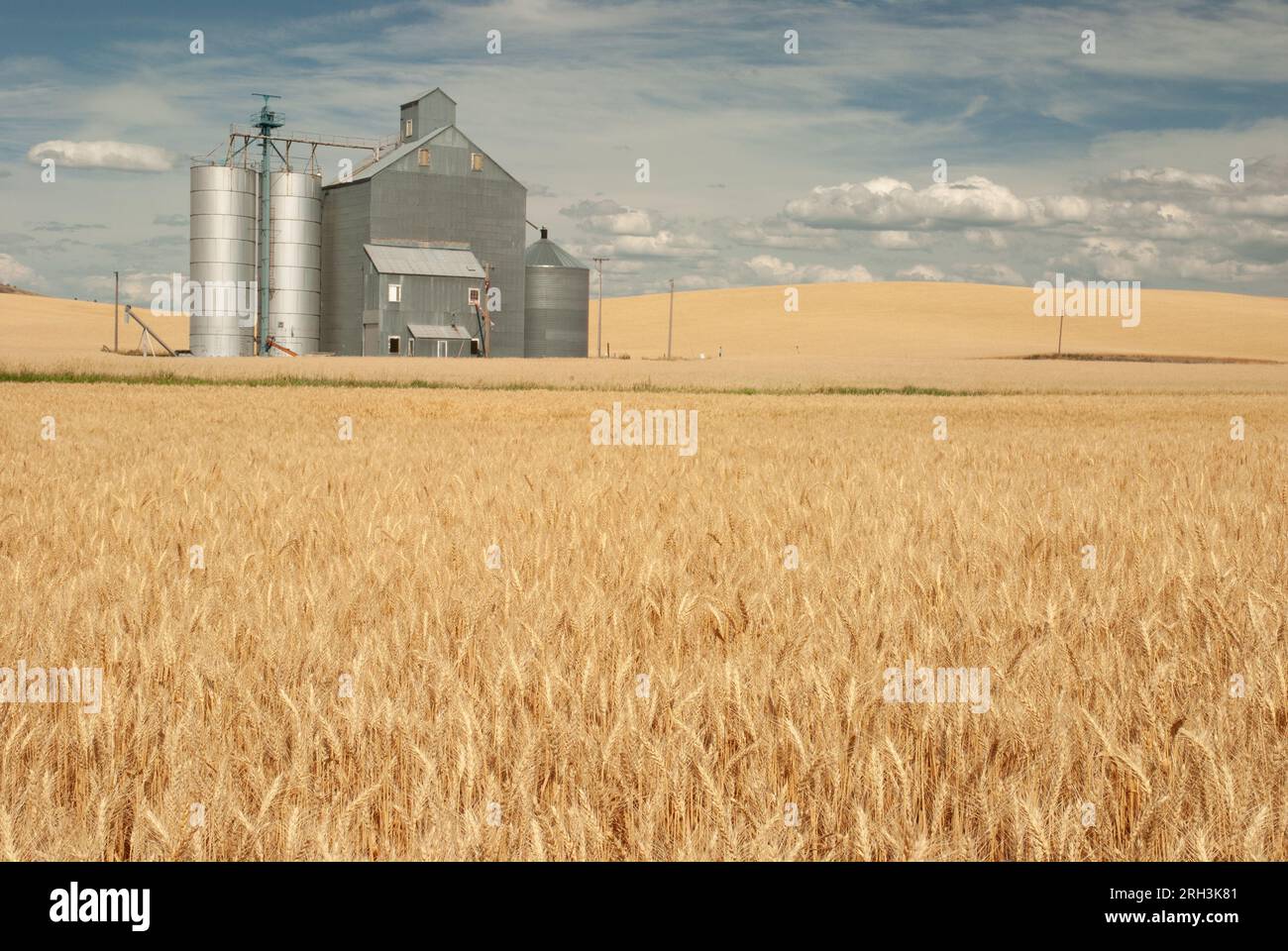 Wheat fields grain elevator hi-res stock photography and images - Alamy
