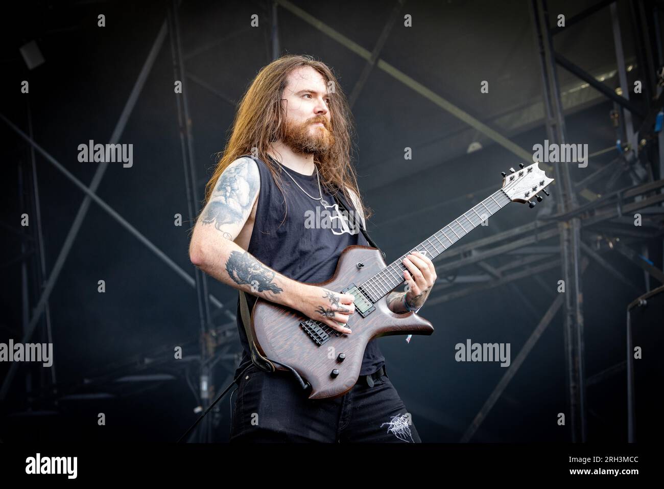 Sammy grey hi-res stock photography and images - Alamy