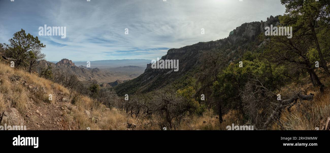 Juniper loop hi-res stock photography and images - Alamy