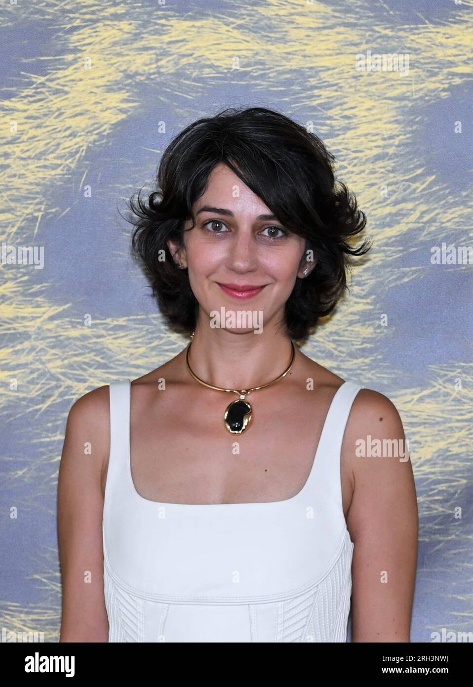 Zar amir ebrahimi hi-res stock photography and images - Alamy