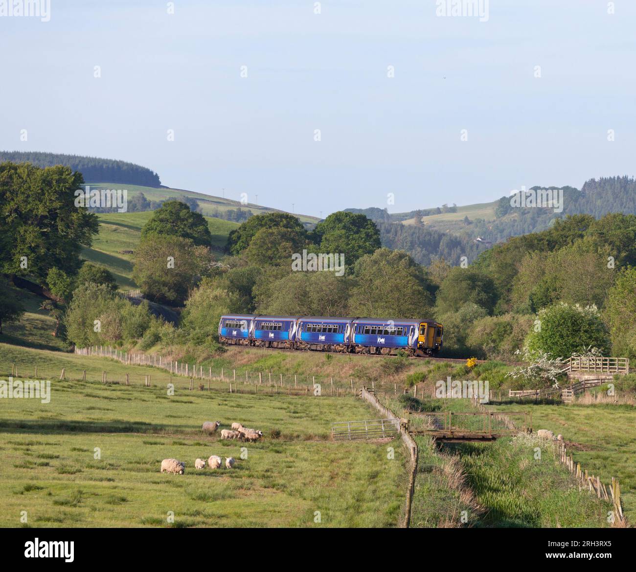 Scotrail class 156 diesel multiple unit train passing Closeburn on the ...
