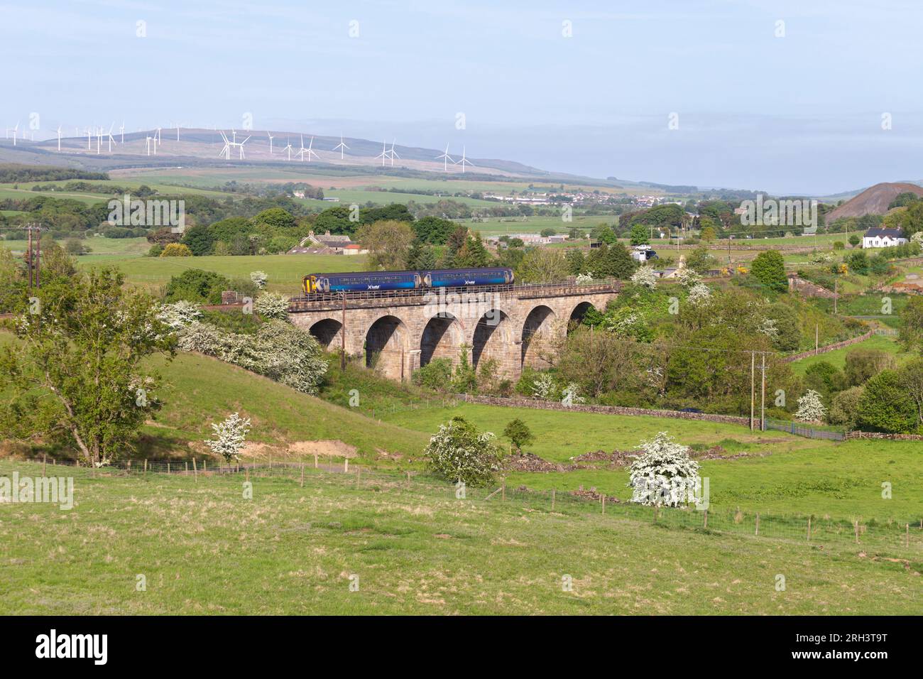 Scotrail class 156 2 carriage sprinter train crossing Crawick viaduct ...