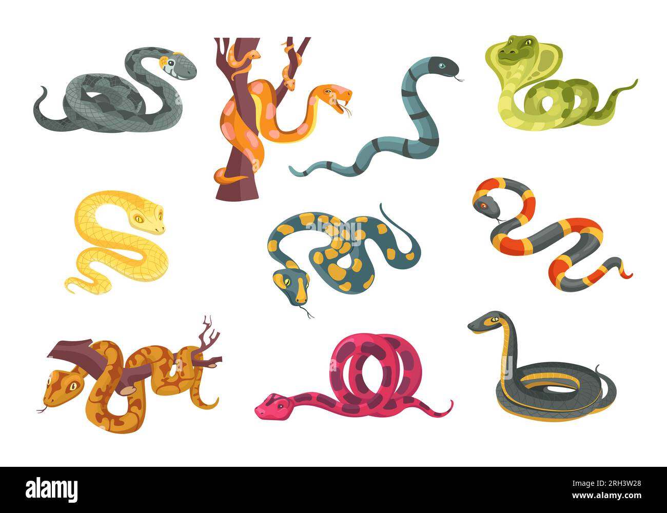 Colorful poisonous snakes. Cartoon suffocating reptiles. Creeping ...