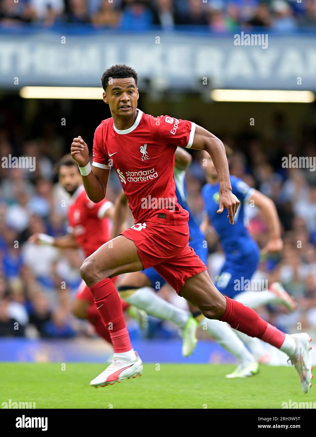Gakpo liverpool chelsea hi-res stock photography and images - Alamy
