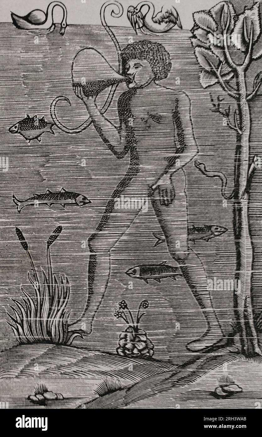 Medieval diver using bladder to breath. Facsimile of an engraving from ...