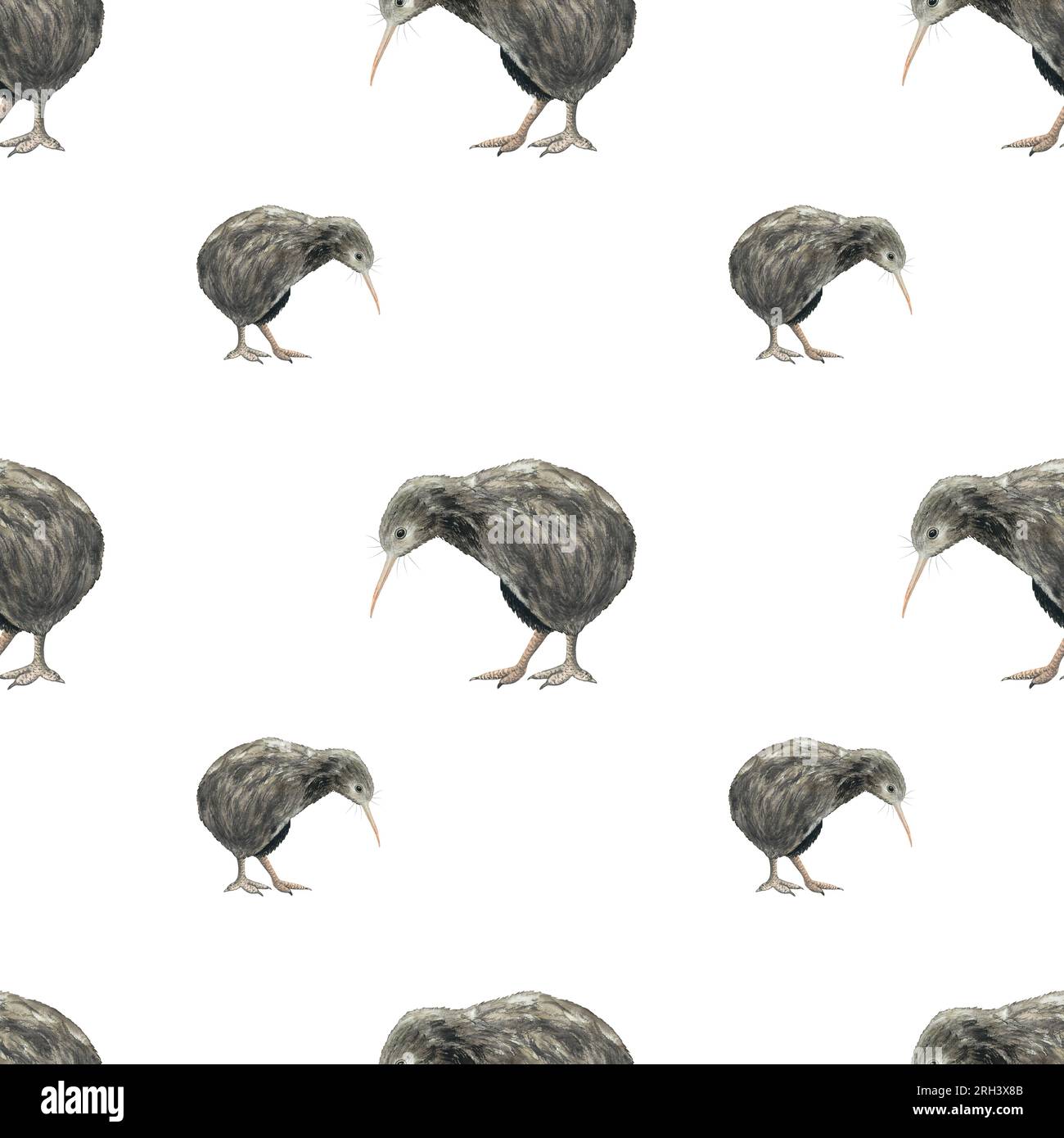 Watercolour kiwi bird seamless pattern. Hand drawn illustration ...