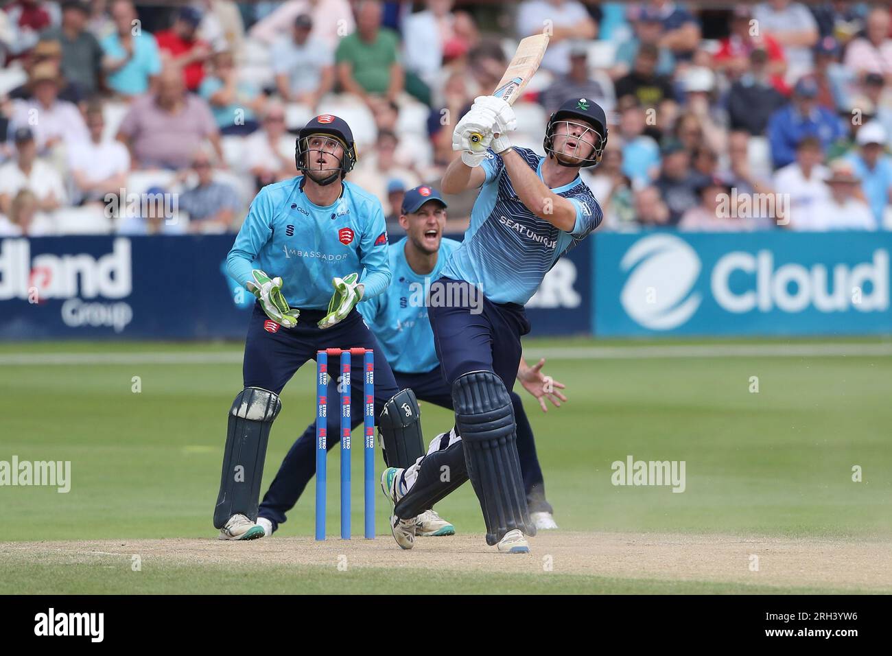 Finlay bean action hi-res stock photography and images - Alamy