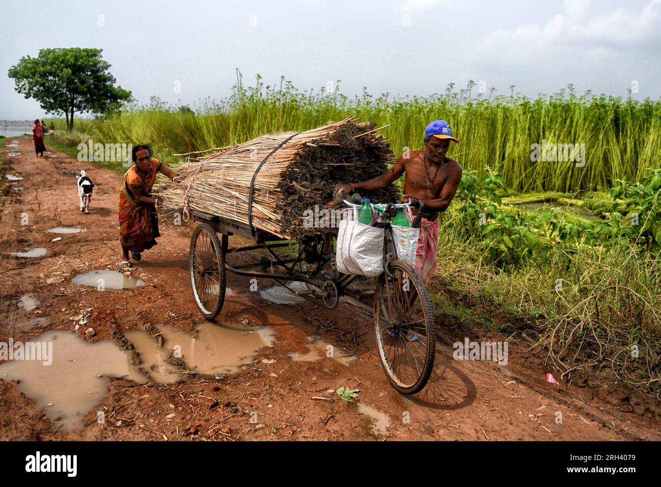 Transporting cash india hi-res stock photography and images - Alamy
