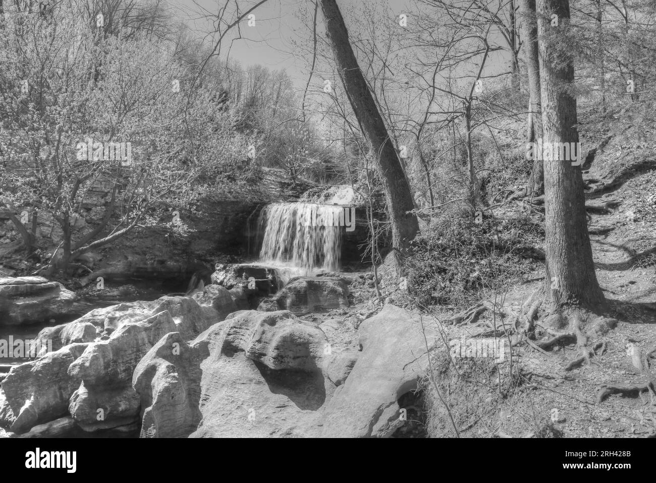 Parks arkansas Black and White Stock Photos & Images - Alamy