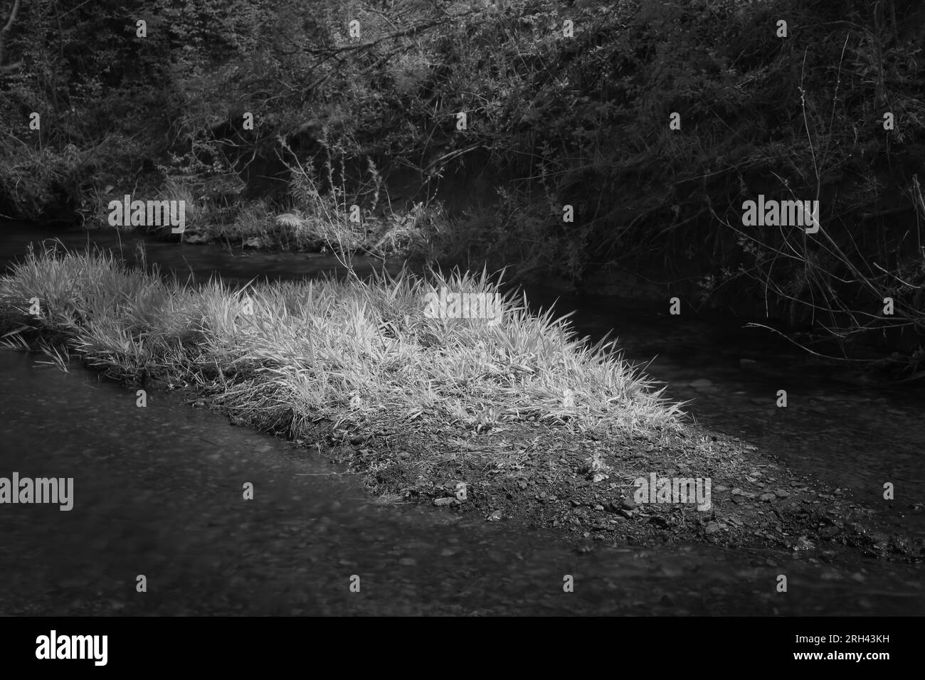 Prairie State Park in Liberal, Missouri Stock Photo - Alamy