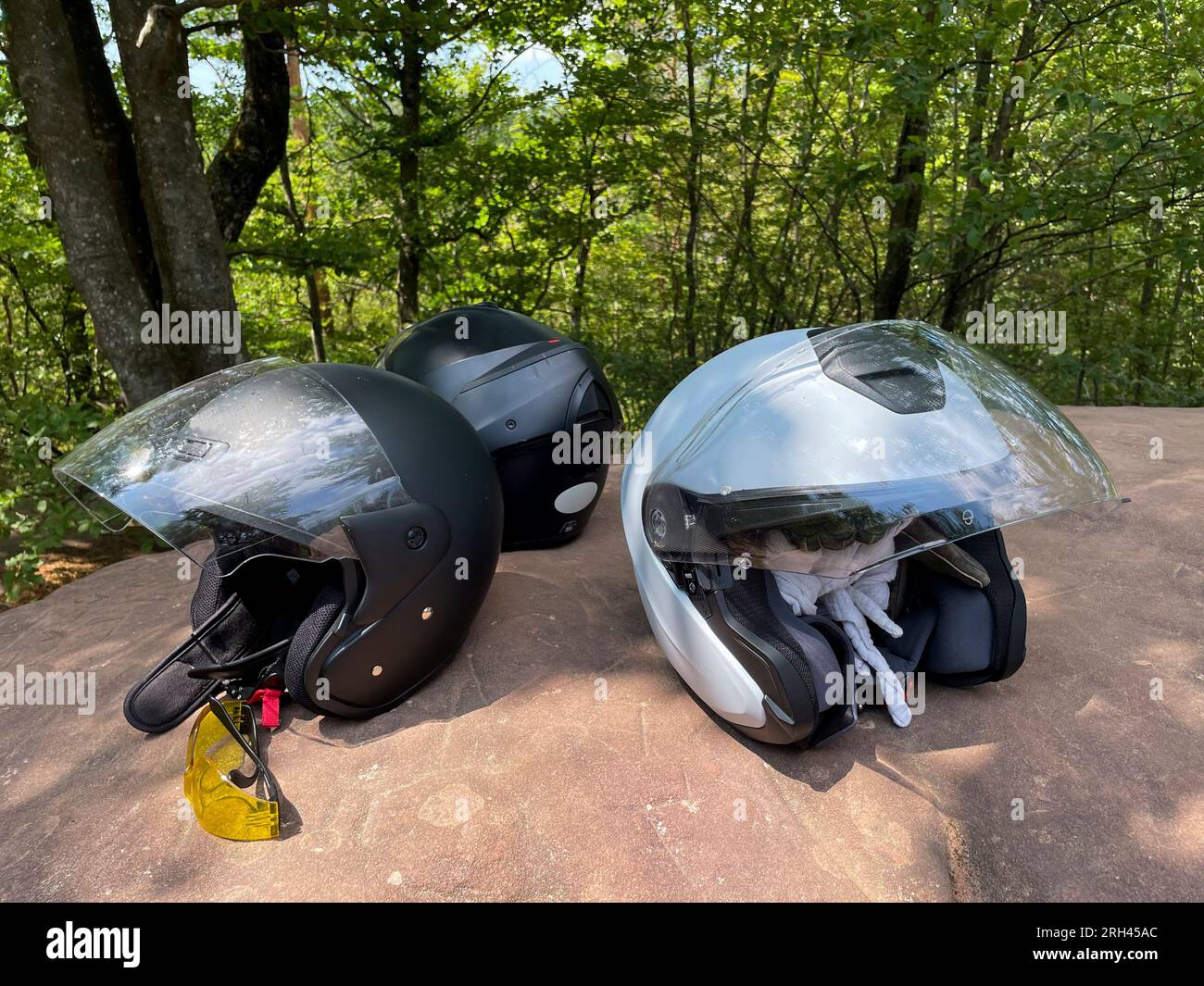 Tisch pilz hi-res stock photography and images - Alamy