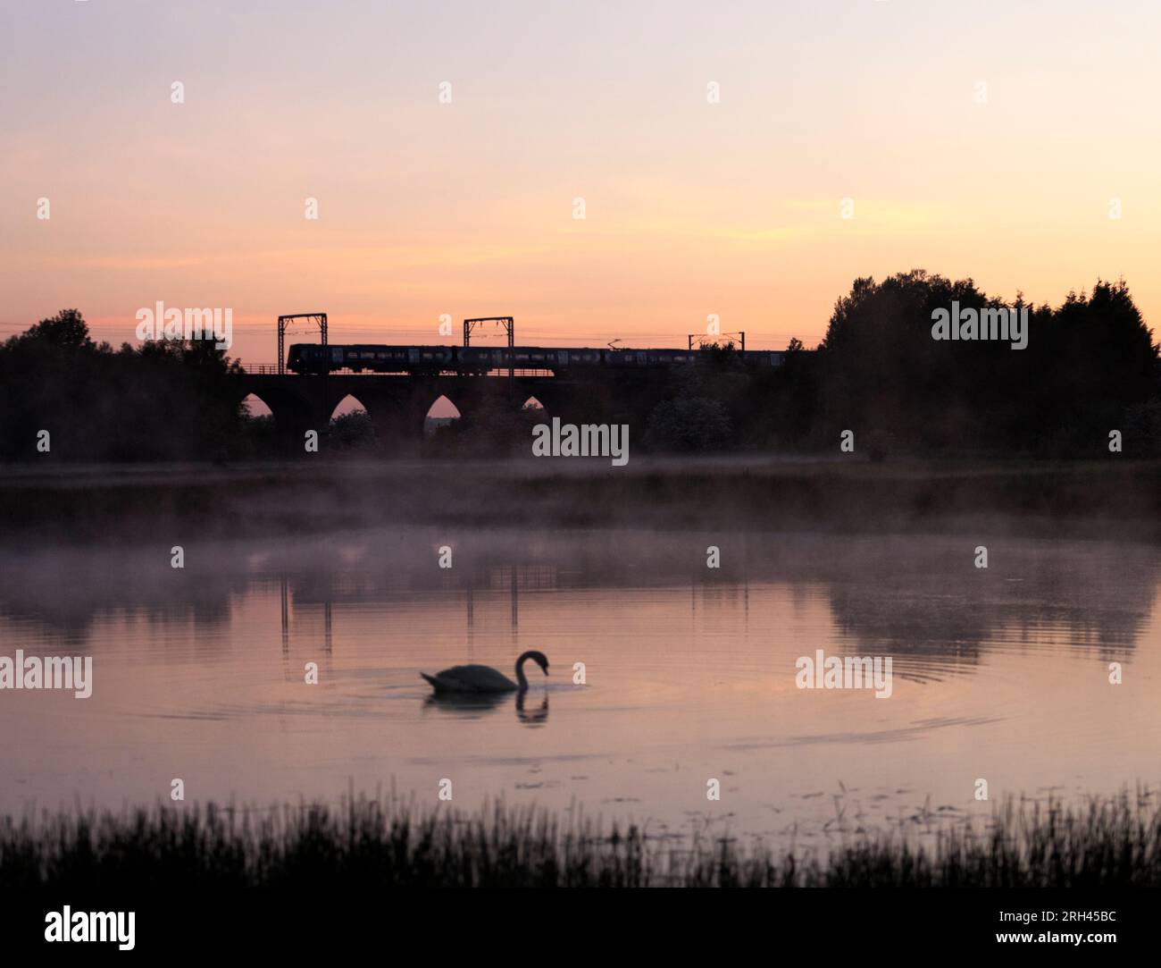 With mist on the ground and a swan a Scotrail class 380 train crosses ...