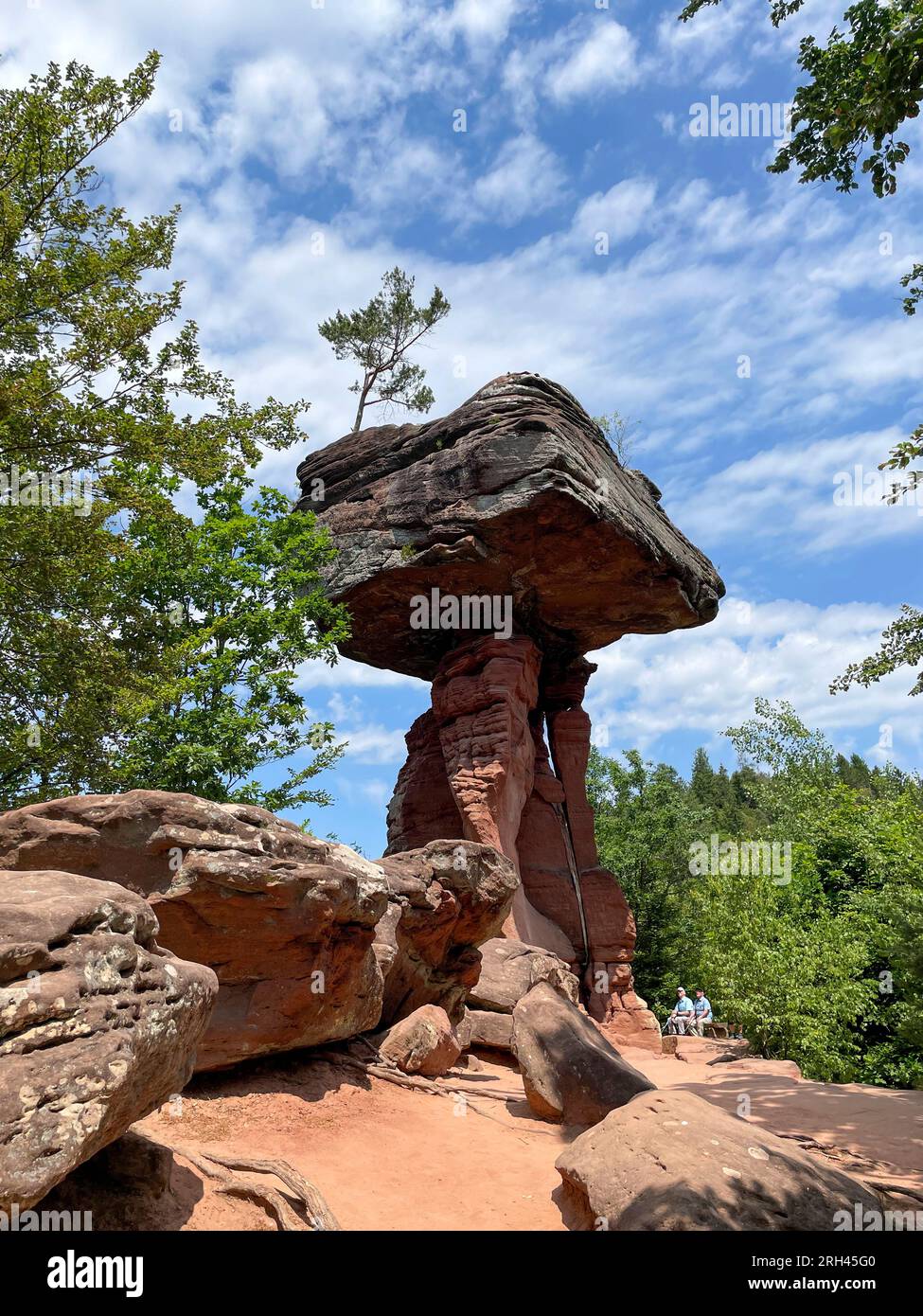 Teufelstisch Pilz Felsen in Hinterweidenthal im Pfälzer Wald Stock ...