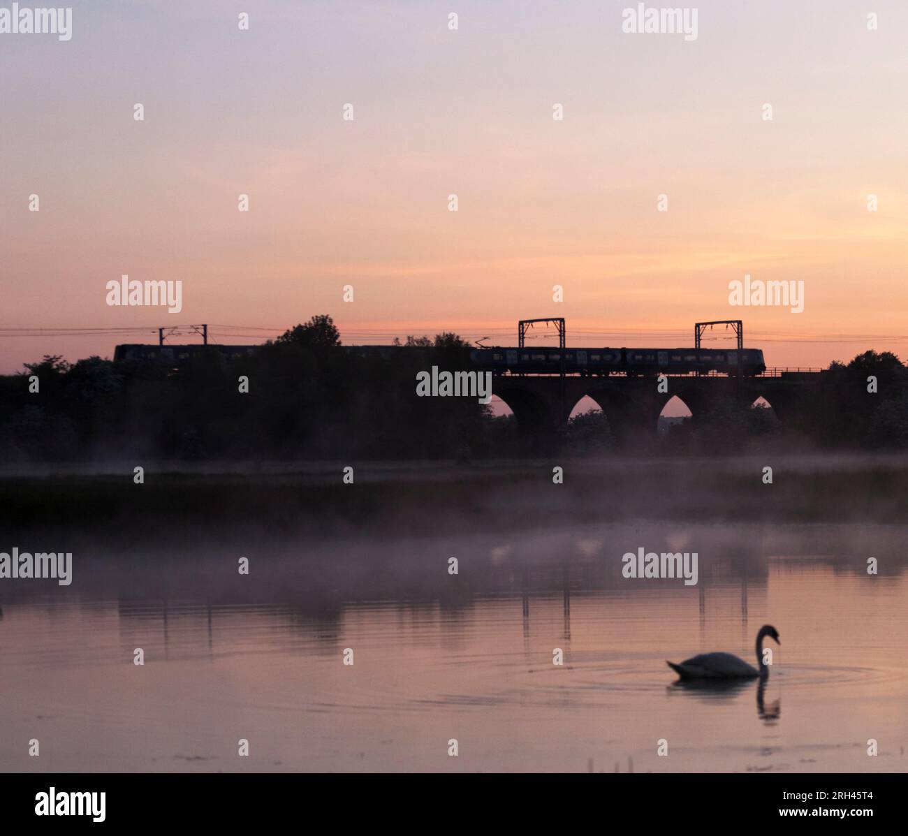 With mist on the ground and a swan a Scotrail class 380 train crosses ...