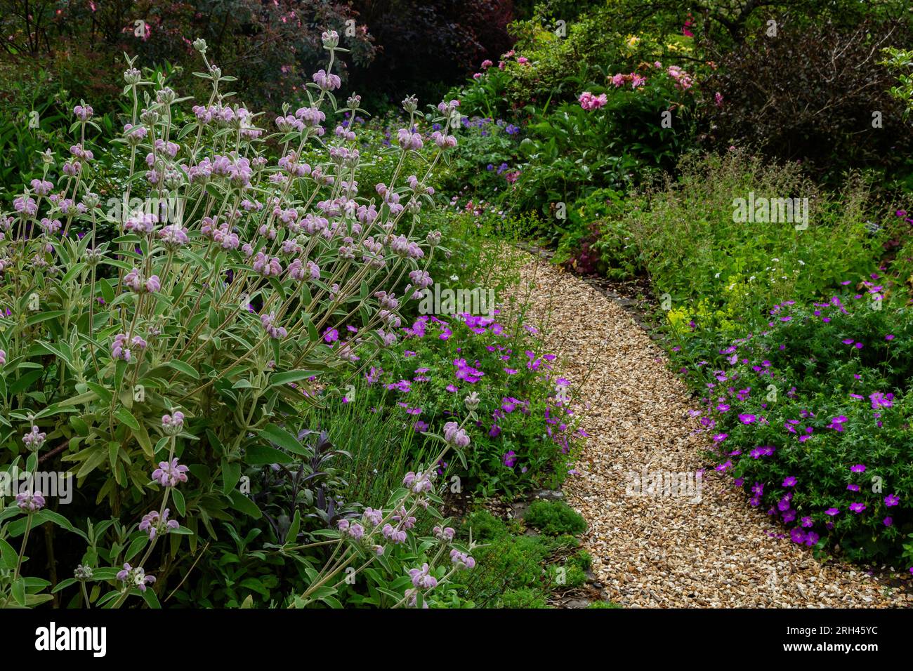 Curved garden path between garden borders hi-res stock photography and ...
