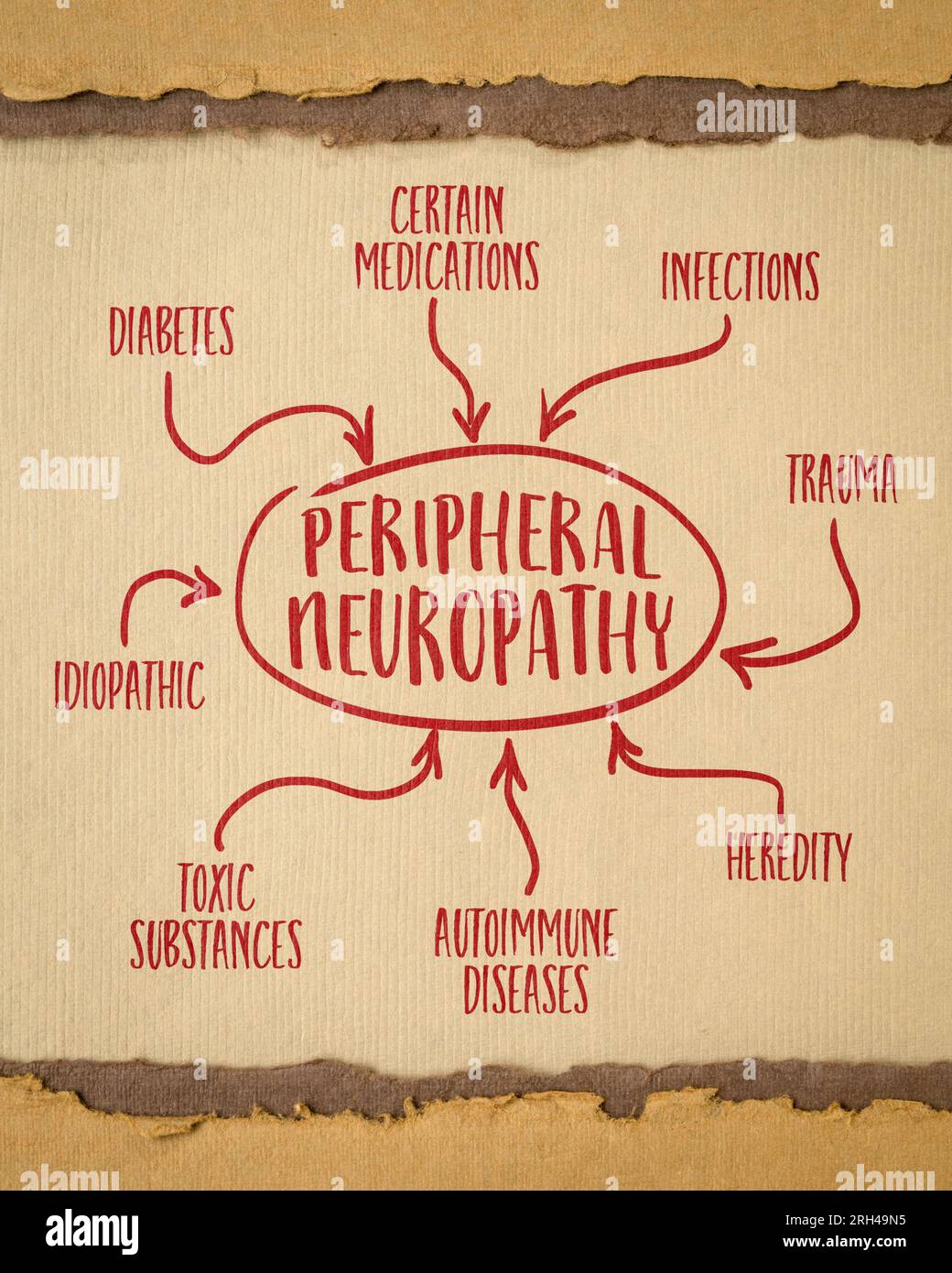 Peripheral Nerve Map