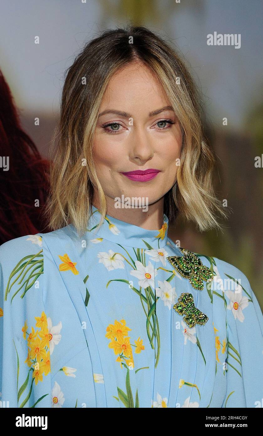 Olivia Wilde at the Los Angeles premiere of 'Life Itself' held at the ArcLight Cinemas in ...