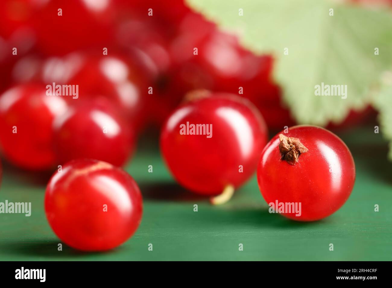 Red currants on green hi-res stock photography and images - Alamy
