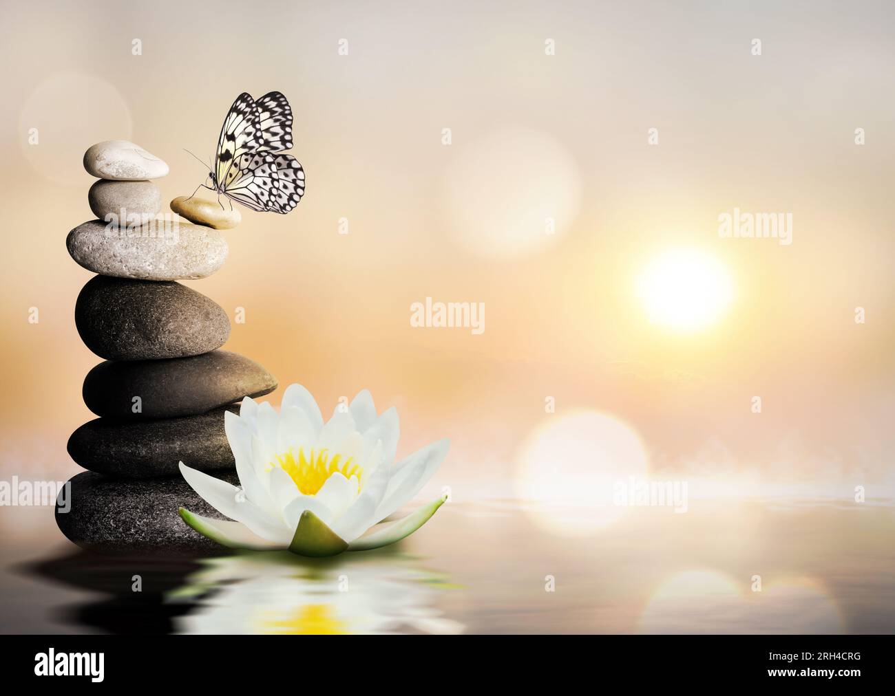 Peace and harmony. Stacked stones, lotus flower in water and beautiful ...