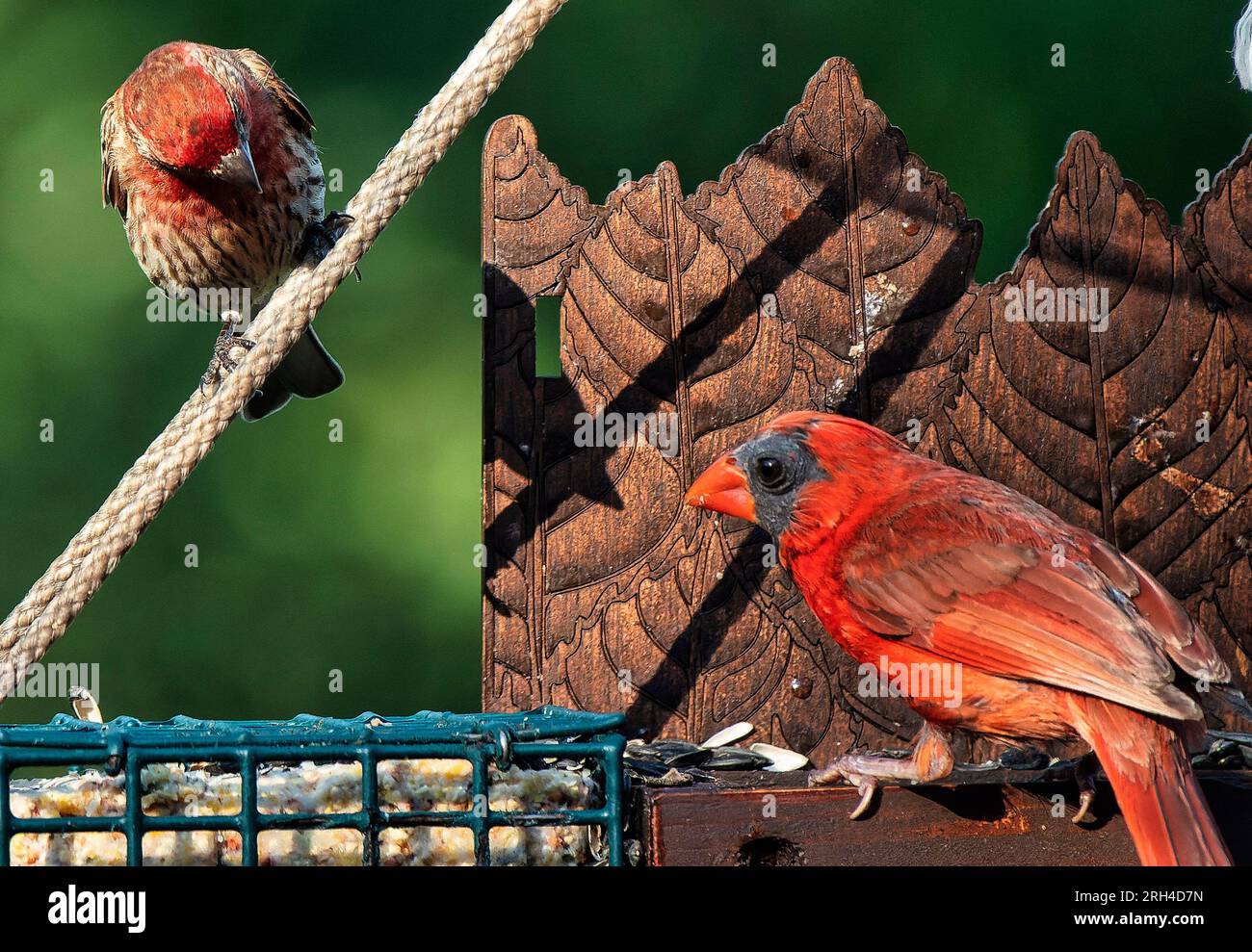 Bitd house hi-res stock photography and images - Alamy