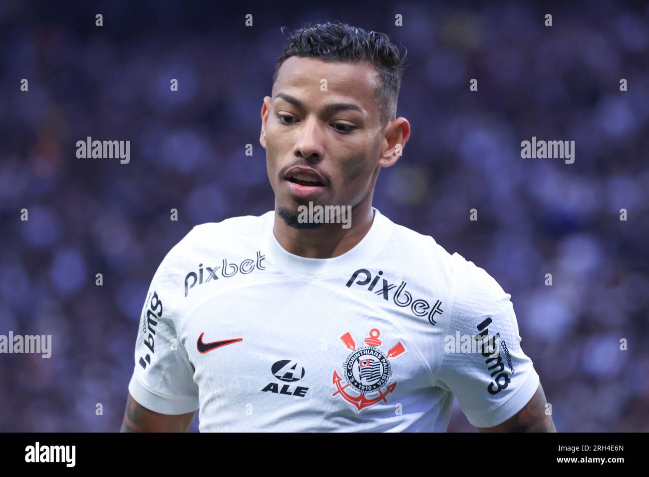 Sao Paulo, Brazil. 13th Aug, 2023. SP - SAO PAULO - 08/13/2023 ...