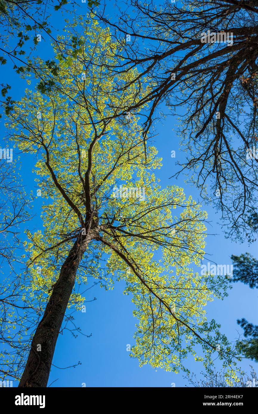 Cutler park reservation hi-res stock photography and images - Alamy