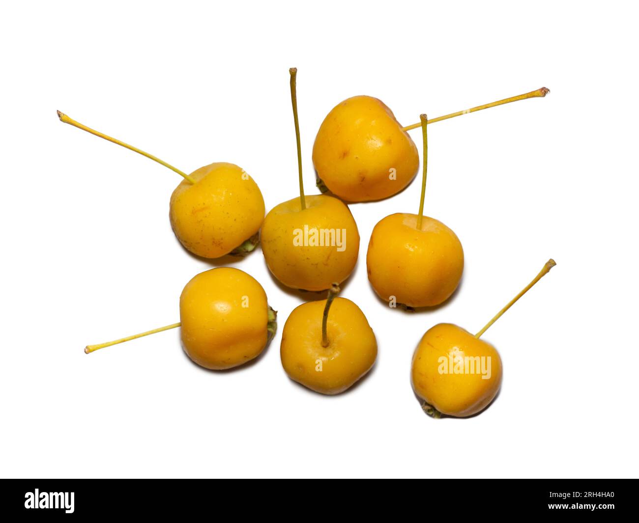 early variety of apples. Small yellow apples on a white background ...