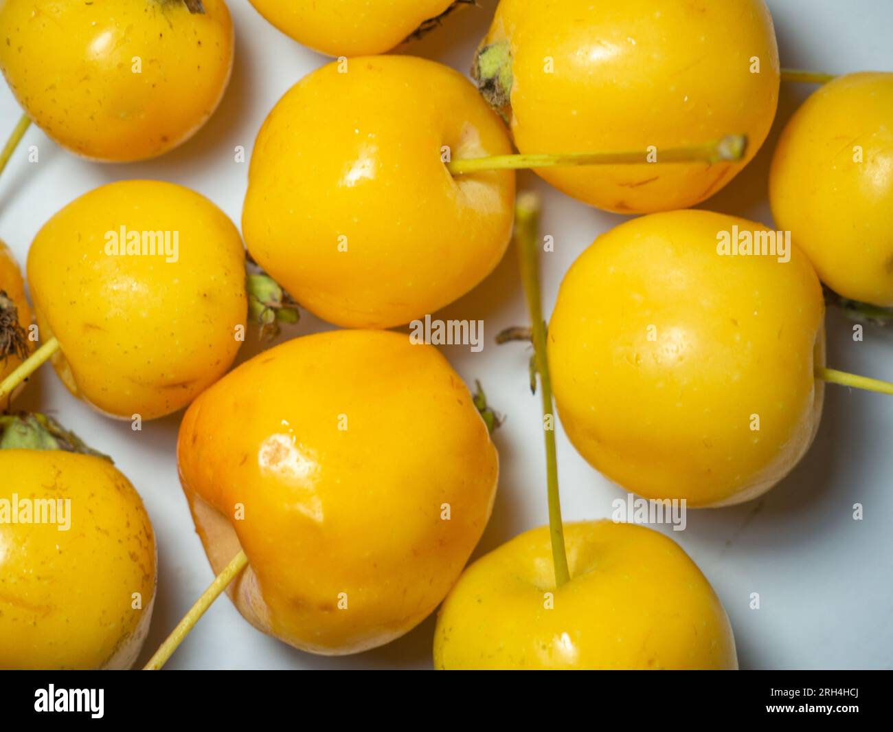 early variety of apples. Small yellow apples on a white background ...