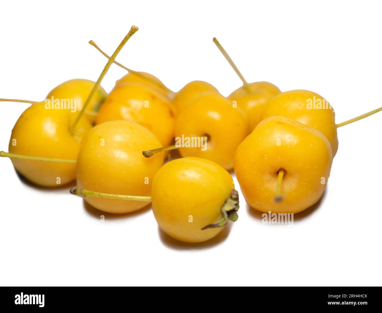 early variety of apples. Small yellow apples on a white background ...