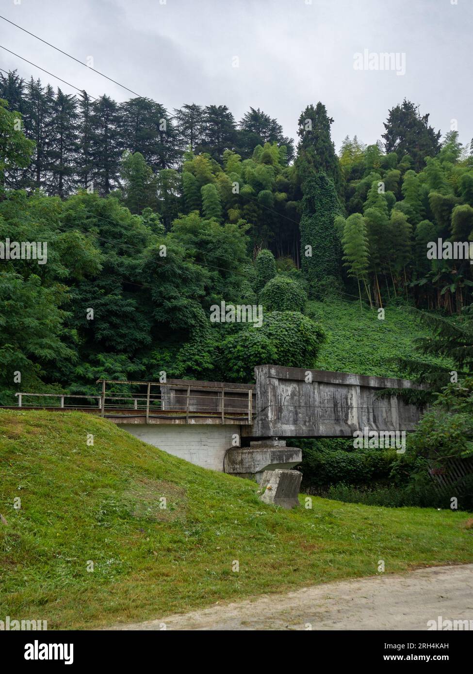 Concrete railway bridge. Transport infrastructure. Bridge in the park ...